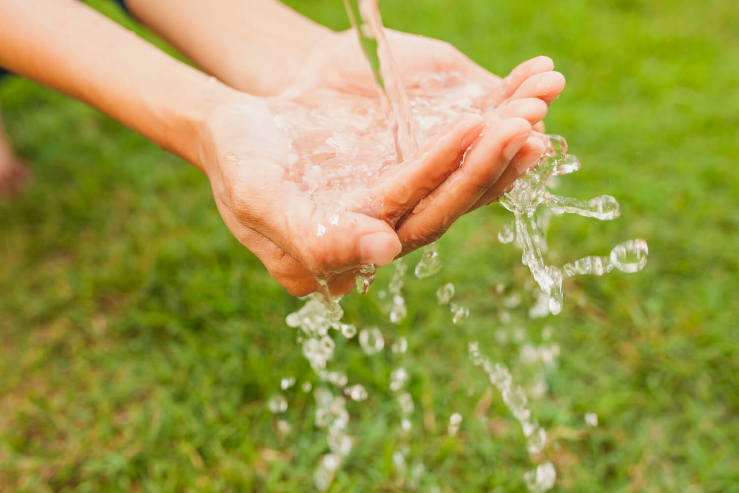 Consejos Para El Cuidado Del Agua En Primavera Saguapac